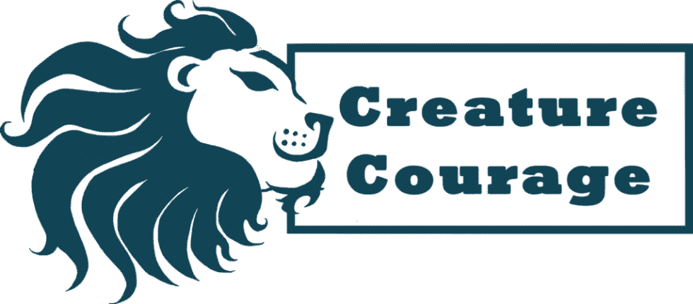 Fear of Ants: Myrmecophobia | Creature Courage